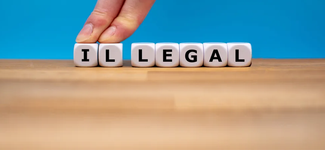 Biden Legal Pathways Strategy Meets Reality - NumbersUSA